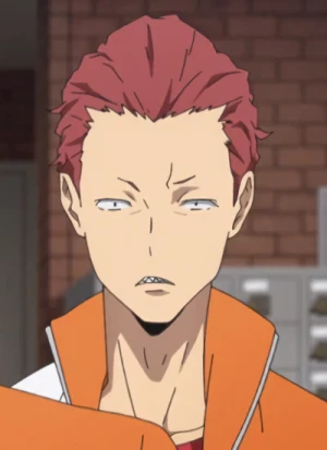 Yukei Saruhashi Character Anisearch