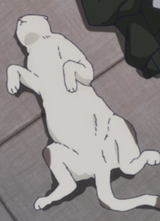 Cat Anime Relations – aniSearch.com