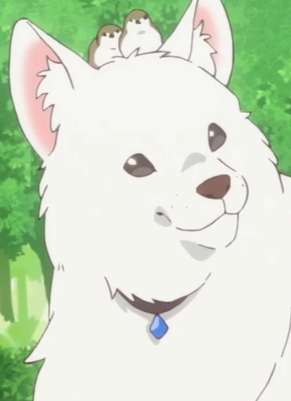 Dee – aniSearch.com