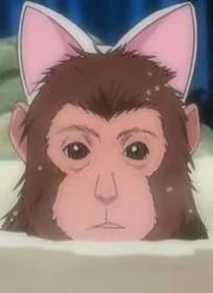 Chimp – aniSearch.com