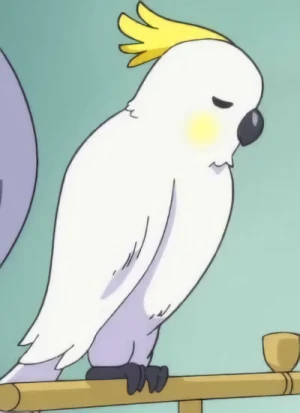 Parrot (Character) – aniSearch.com